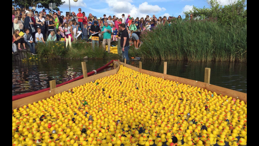 5. Sylter Lions Entenrennen 2019 auf dem Wenningstedter Dorfteich - H.B ... 5. Sylter Lions Entenrennen 2019 auf dem Wenningstedter Dorfteich - H.B ...